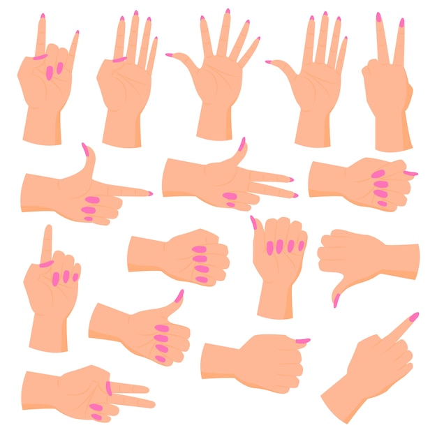 Diverse Hands in Various Gestures and Poses | Jiffy Designs