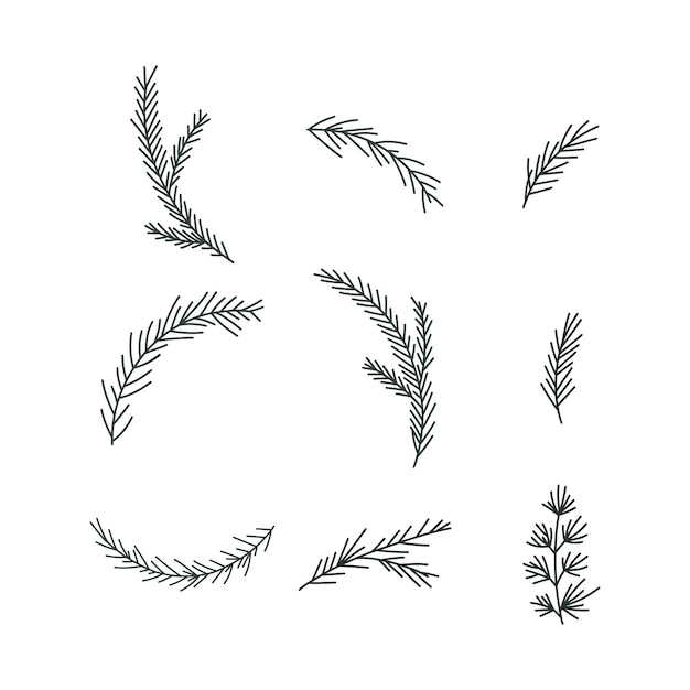 Elegant Evergreen Sprigs: A Minimalist Nature-Inspired Illustration ...