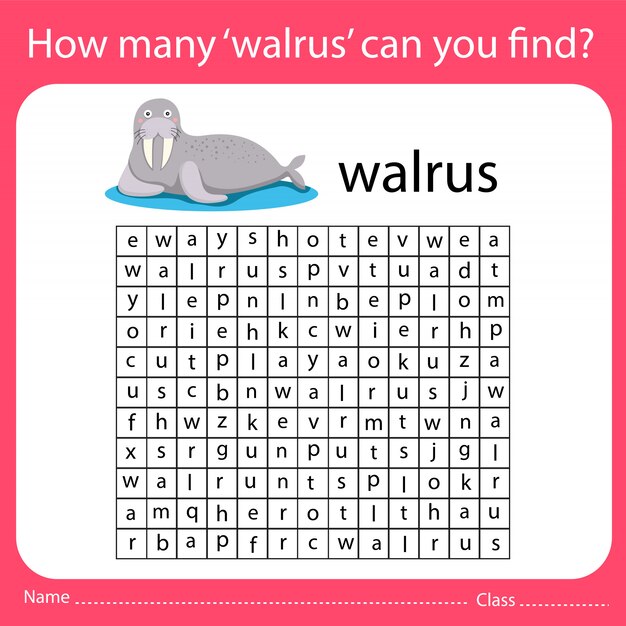Spot the Walrus in the Word Search Puzzle | Jiffy Designs