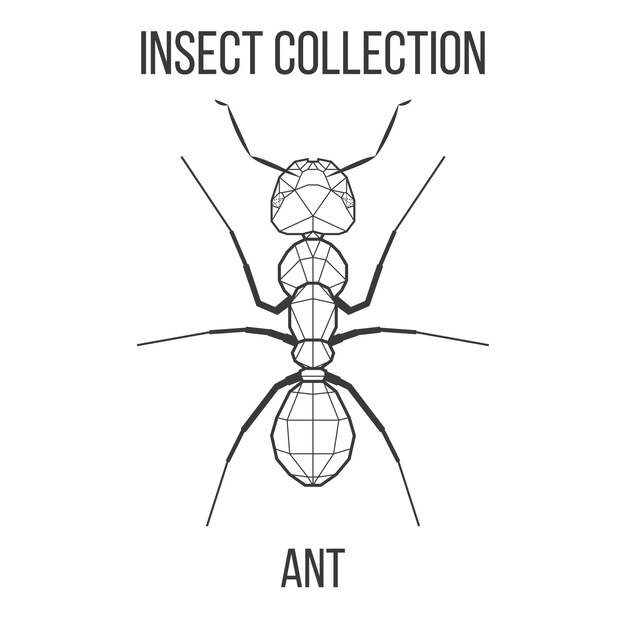 Geometric Ant Illustration from Insect Collection | Jiffy Designs