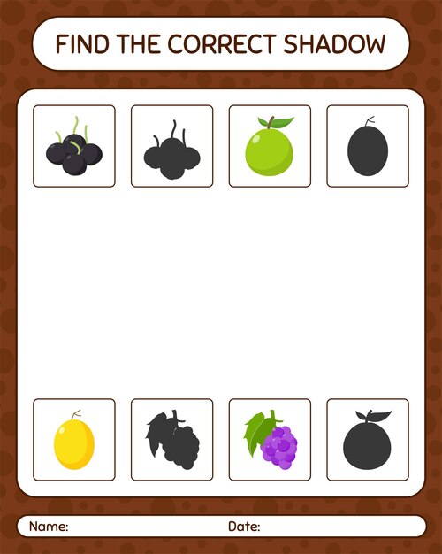 Vibrant Fruit Collection: Matching Shadows and Silhouettes | Jiffy Designs