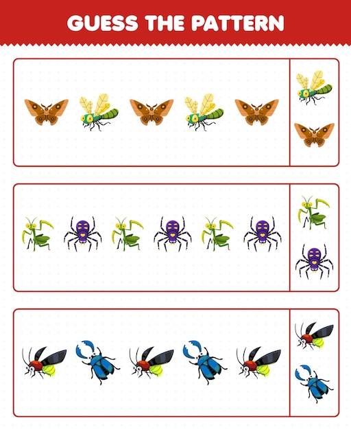 Vibrant Insect Collection: Butterflies, Spiders, and Beetles | Jiffy ...