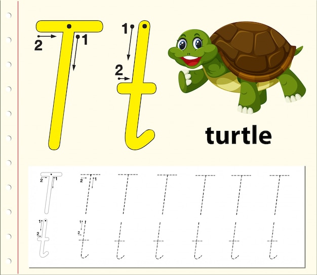 Illustrated Alphabet Letter T with Cute Turtle Character | Jiffy Designs
