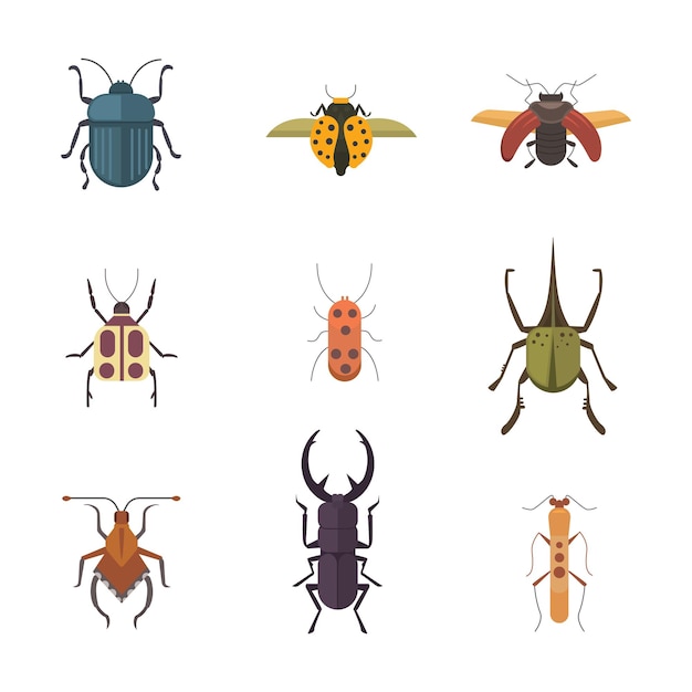 Vibrant Insect Collection: Diverse Beetles, Bugs, and Critters | Jiffy ...