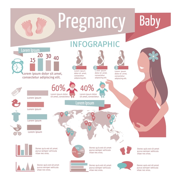 Comprehensive Pregnancy and Baby Infographic: Visualizing Key ...
