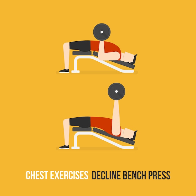 Illustrated Guide to Chest Exercises: Decline Bench Press | Jiffy Designs