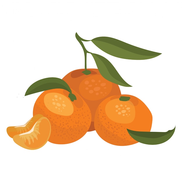 Vibrant Citrus Cluster: Juicy Mandarin Oranges with Lush Foliage ...