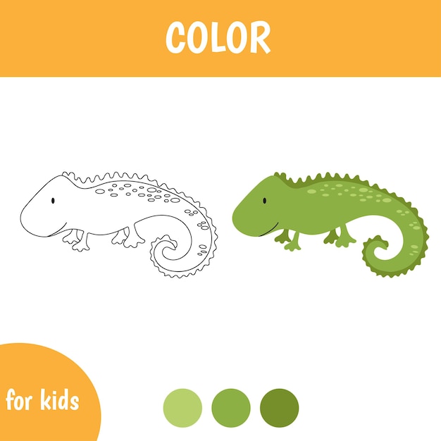 Vibrant Chameleon Duo: Coloring Fun for All Ages | Jiffy Designs