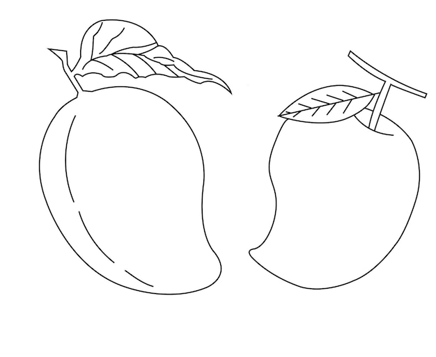 Elegant Outline Illustrations of Ripe Mangoes with Leaves | Jiffy Designs