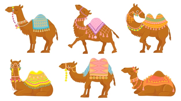 Vibrant Collection of Ornate Camel Illustrations | Jiffy Designs