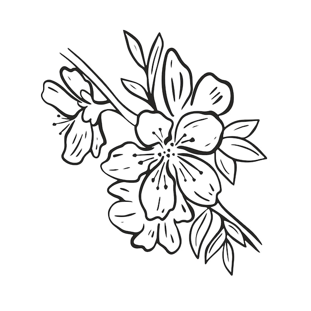 Elegant Floral Outline Drawing with Delicate Blossoms | Jiffy Designs