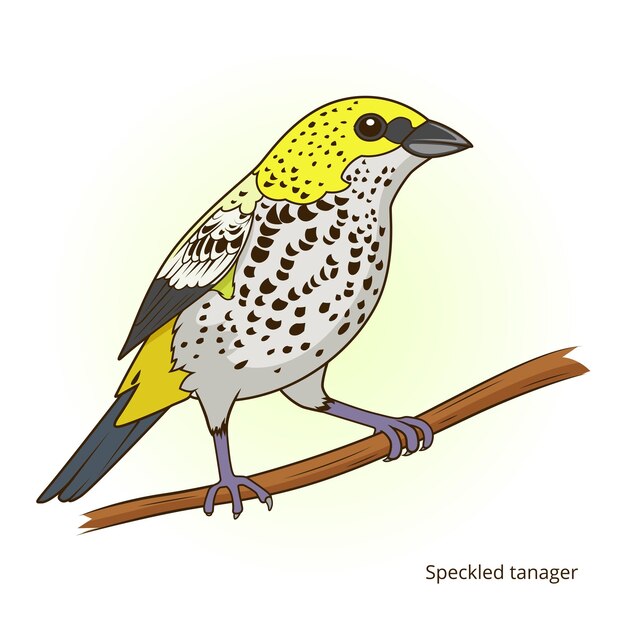 Vibrant and Spotted Speckled Tanager Bird Perched on a Branch | Jiffy ...