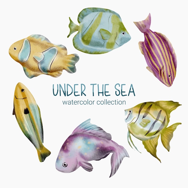 Vibrant Underwater Watercolor Collection of Tropical Fish | Jiffy Designs