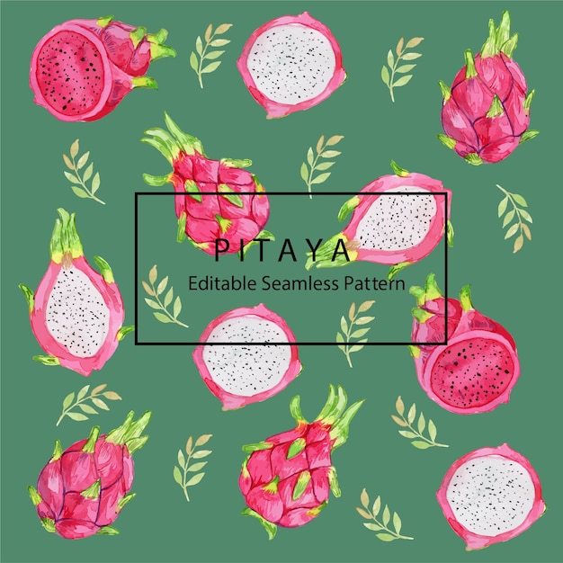 Vibrant Pitaya Fruit and Floral Pattern Design Collection | Jiffy Designs