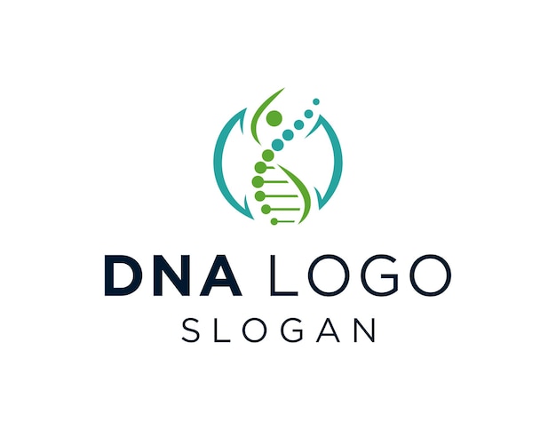 Vibrant DNA Spiral Logo with Minimalist Circular Emblem | Jiffy Designs