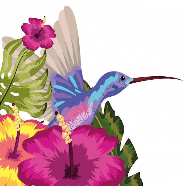 Vibrant Hummingbird Amidst Lush Tropical Florals and Foliage | Jiffy ...