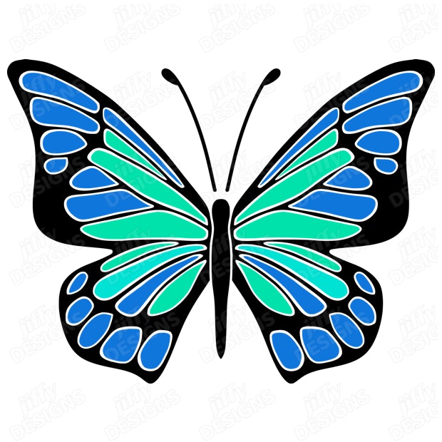 Vibrant Butterfly Featuring Bold Blue and Turquoise Wing Patterns ...