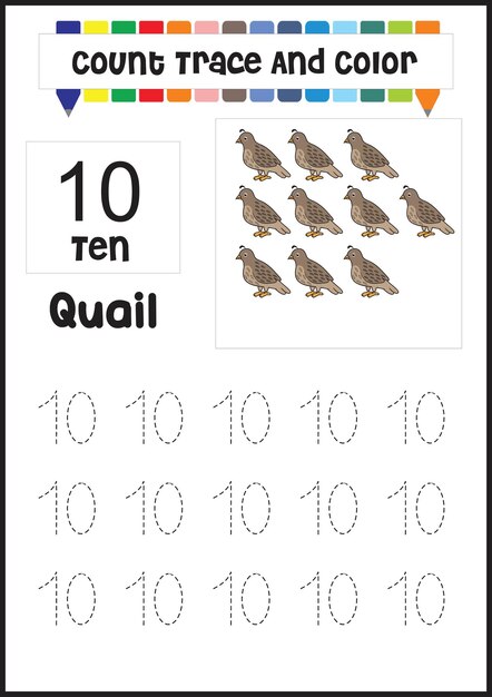 Counting, Tracing, and Coloring Quail: An Educational Worksheet | Jiffy ...