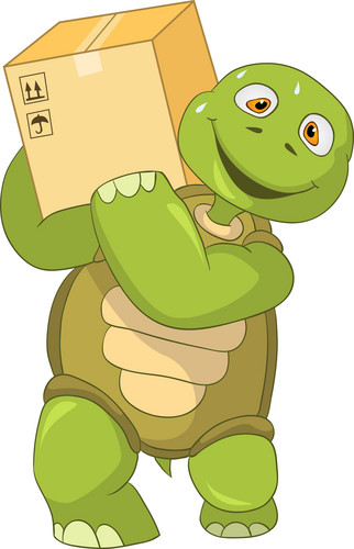 Funny Turtle. Worker. | Jiffy Designs