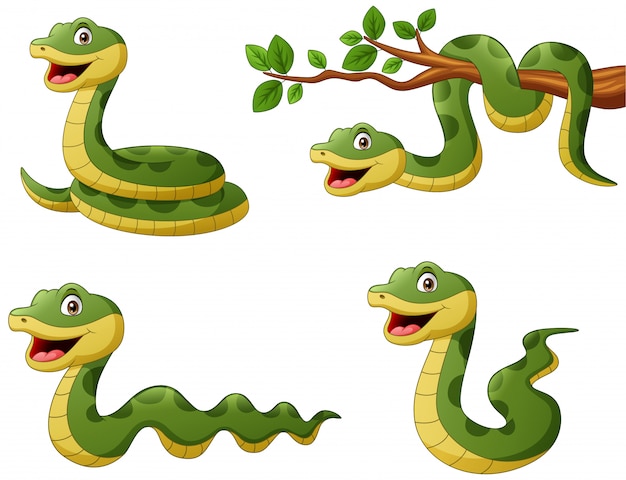 Lively Collection of Cartoon Green Snakes in Various Poses | Jiffy Designs