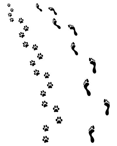 Footprints Of Man And Dog, Turn Left | Jiffy Designs