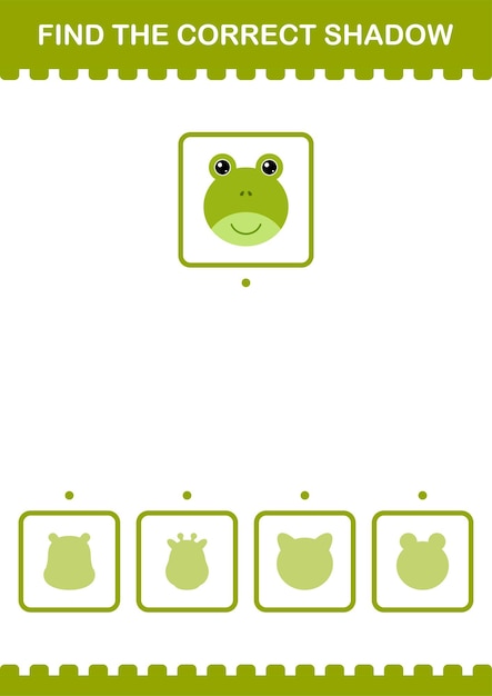 Discover the Frog's Matching Shadow | Jiffy Designs