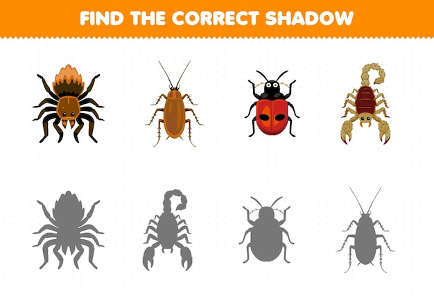 Discover the Correct Insect Shadows in This Vibrant Image | Jiffy Designs