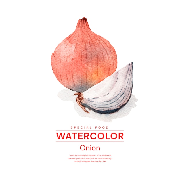 Vibrant Watercolor Onion with Peeled Layers and Textures | Jiffy Designs