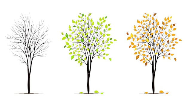 Vibrant Tree Illustrations Depicting Seasonal Transitions in Nature ...