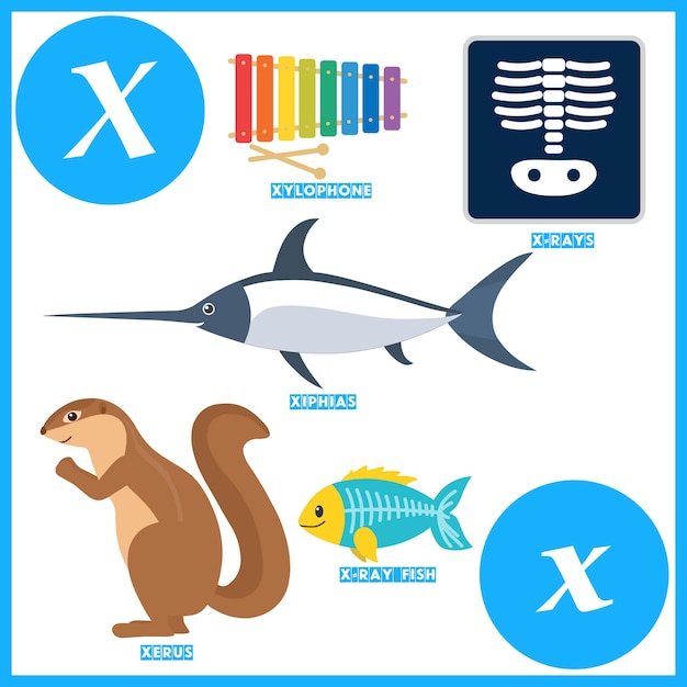 Vibrant Collection of Playful Alphabet X Symbols and Animals | Jiffy ...