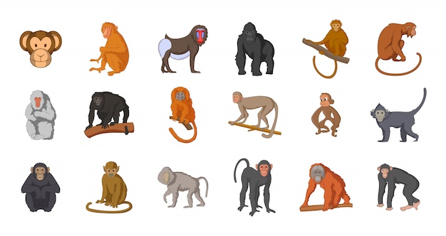 Diverse Collection of Playful Primate Illustrations for Versatile ...