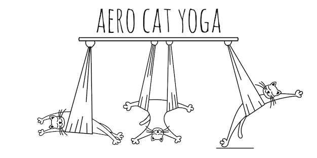 Whimsical Feline Acrobatics: Cats Performing Aero Yoga Poses | Jiffy ...