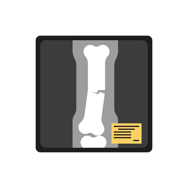 Detailed X-Ray Scan of Sturdy Canine Bone Structure | Jiffy Designs