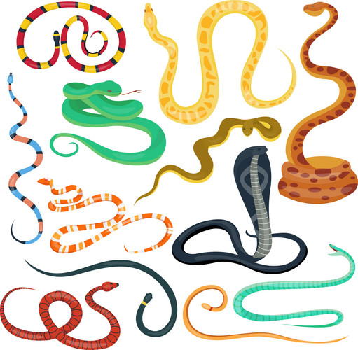 Snake Character Wildlife Nature Viper. Flat Snake Python Symbol, Venom ...