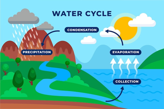 Vibrant Depiction of the Captivating Water Cycle Process | Jiffy Designs