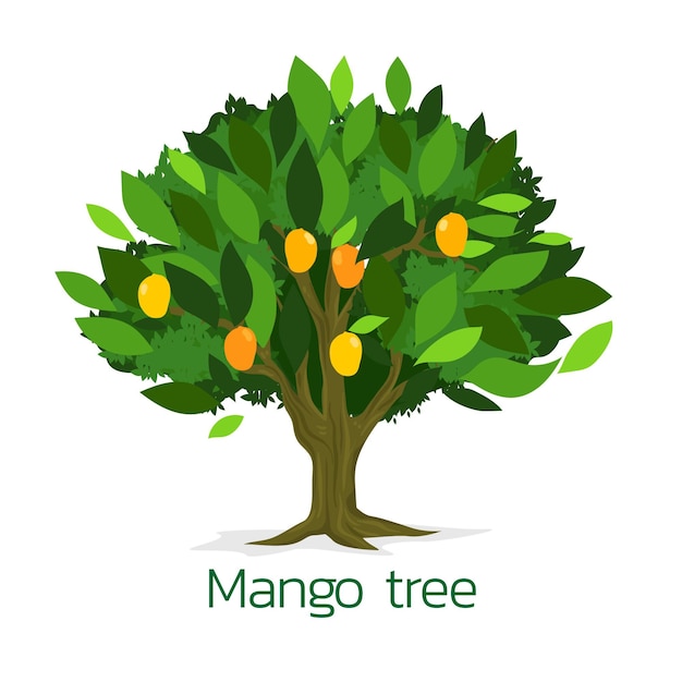Vibrant Mango Tree Bursting with Luscious Fruit | Jiffy Designs
