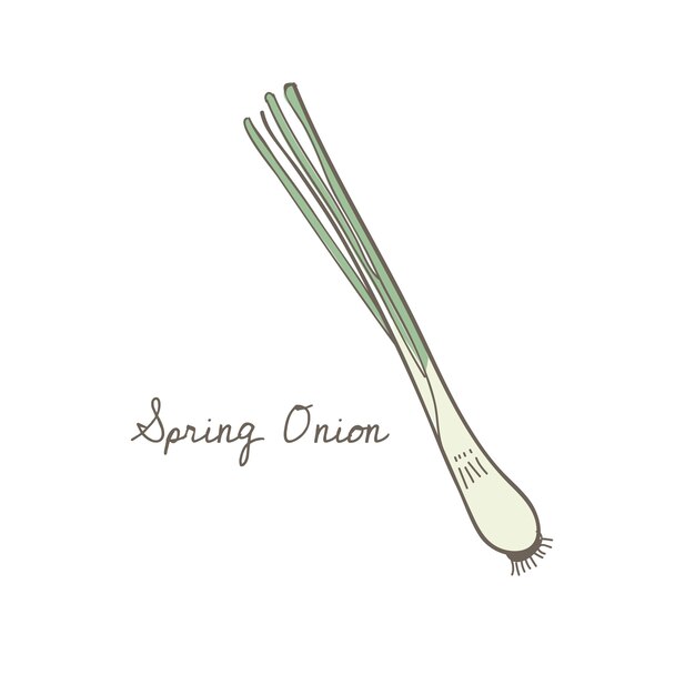 Vibrant Green Spring Onions Illustration | Jiffy Designs