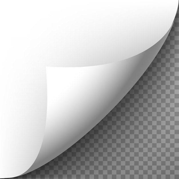 Elegant Curled Paper Corner with Transparent Background | Jiffy Designs