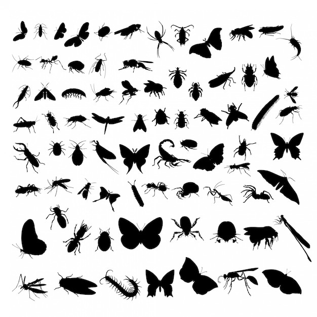 Diverse Silhouettes of Insects, Bugs, and Butterflies | Jiffy Designs