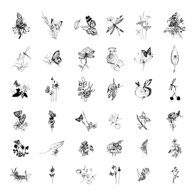 Diverse Grayscale Botanical Illustrations and Nature Inspired Graphics ...