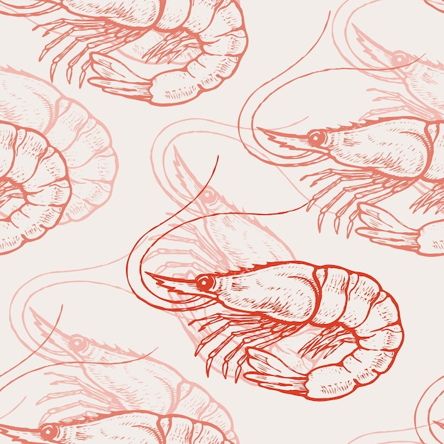 Vibrant Shrimp Sketch: A Captivating Seafood Pattern | Jiffy Designs