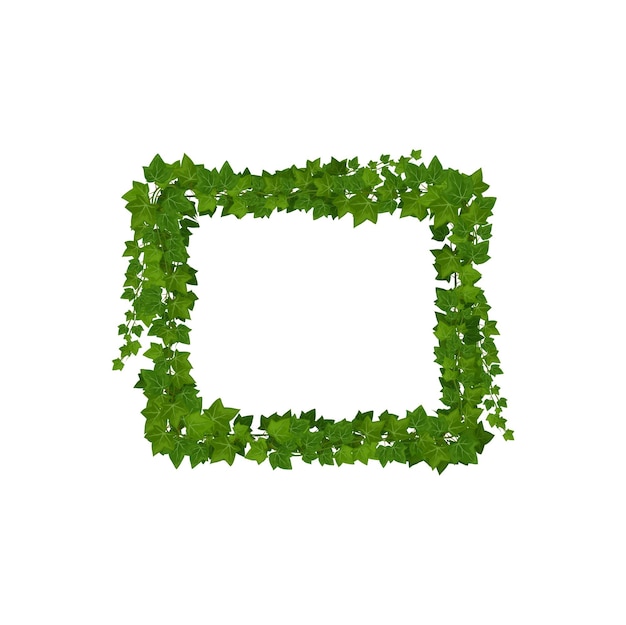 Vibrant Green Ivy Frame on White Background | Jiffy Designs