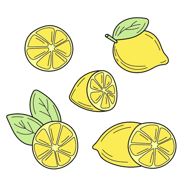 Vibrant Lemon Collection: Zesty Citrus Illustrations for Versatile ...