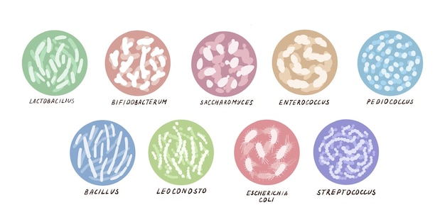 Vibrant Microbial Patterns: A Colorful Exploration of Bacterial ...