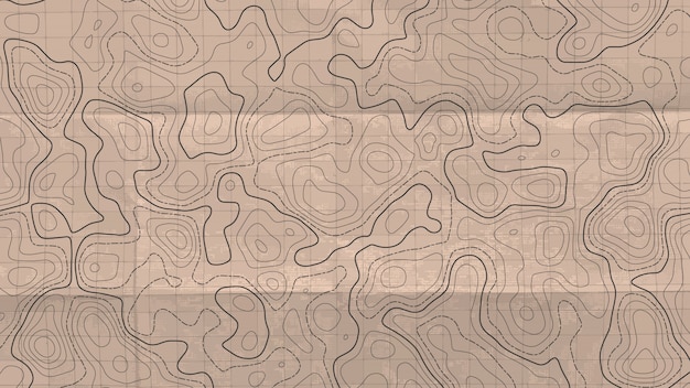 Intricate Topographic Contour Map Illustration | Jiffy Designs