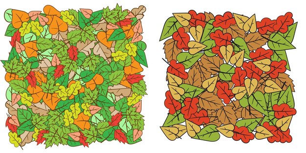 Vibrant Autumn Foliage Collage with Leaves and Flowers | Jiffy Designs
