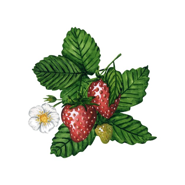 Vibrant Strawberry Cluster with Lush Foliage | Jiffy Designs