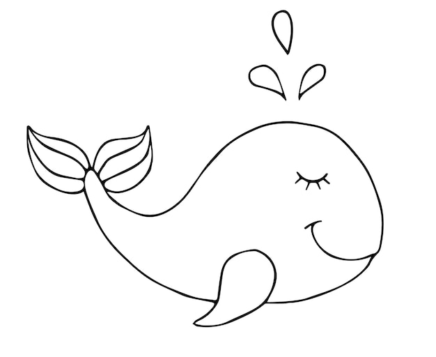 Charming Whale Illustration with Playful Fins | Jiffy Designs