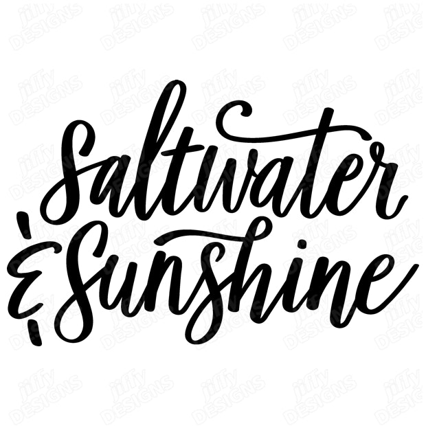 'Saltwater & Sunshine' Elegant Cursive Script with Flowing Curves and ...