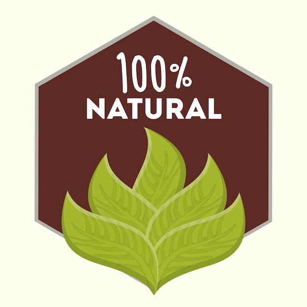 Vibrant Leaf Emblem: A Symbol of 100% Natural Goodness | Jiffy Designs